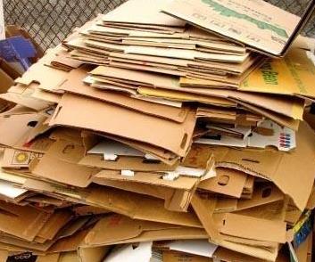 Services | Empire Disposal